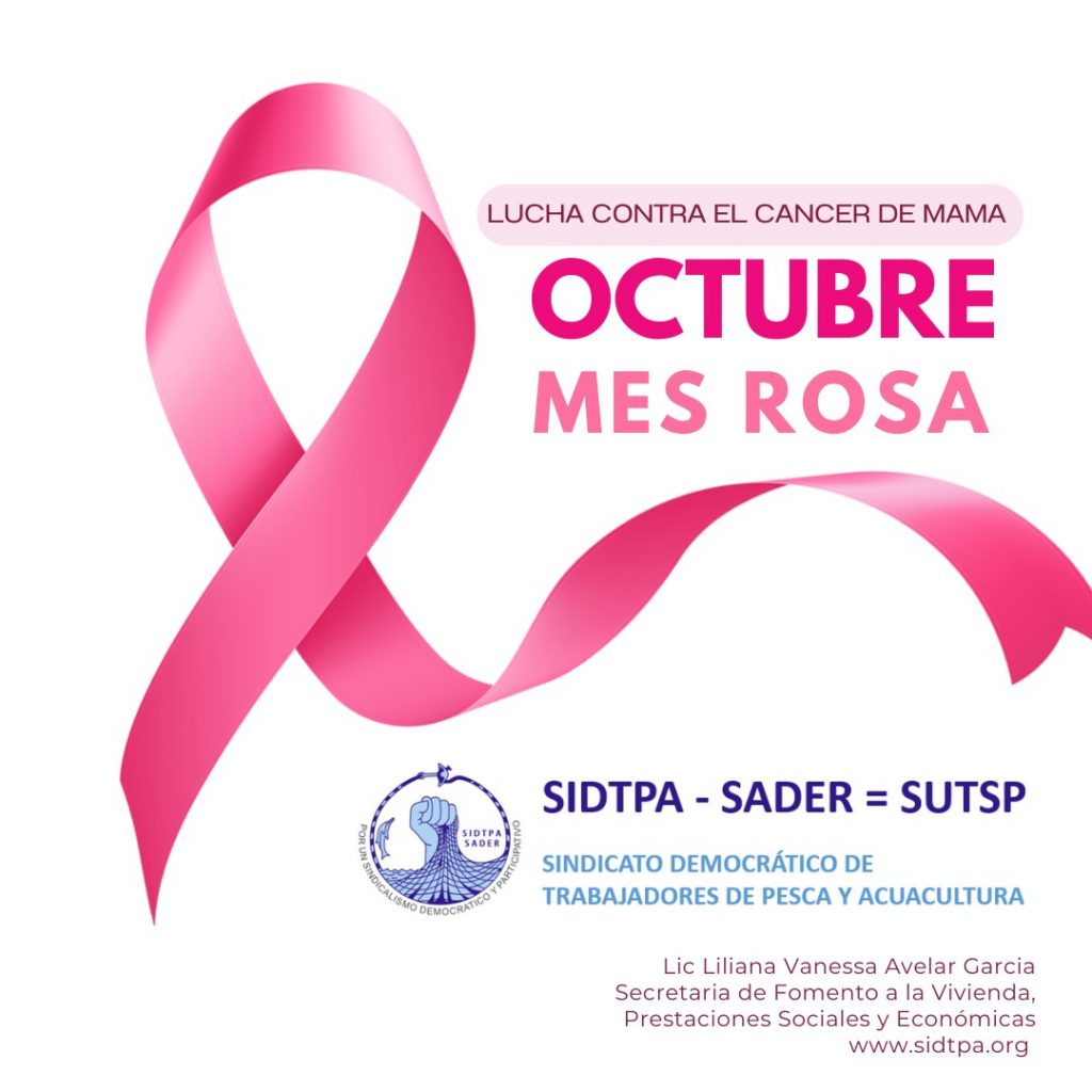 Lucha contra el Cáncer de Mama (Octubre – Mes Rosa) | SIDTPA