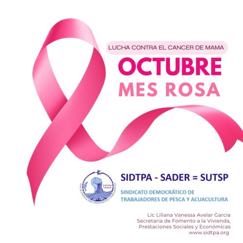 Lucha contra el Cáncer de Mama (Octubre – Mes Rosa) | SIDTPA