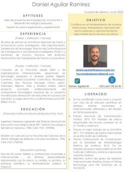 Curriculum vitae Daniel Aguilar Ramirez | SIDTPA