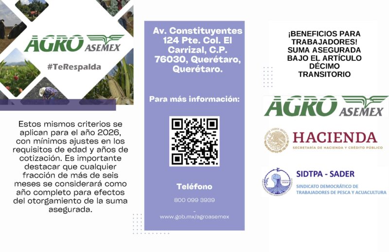 Suma Asegurada Bajo el Artículo Décimo Transitorio (AGRO ASEMEX) | SIDTPA